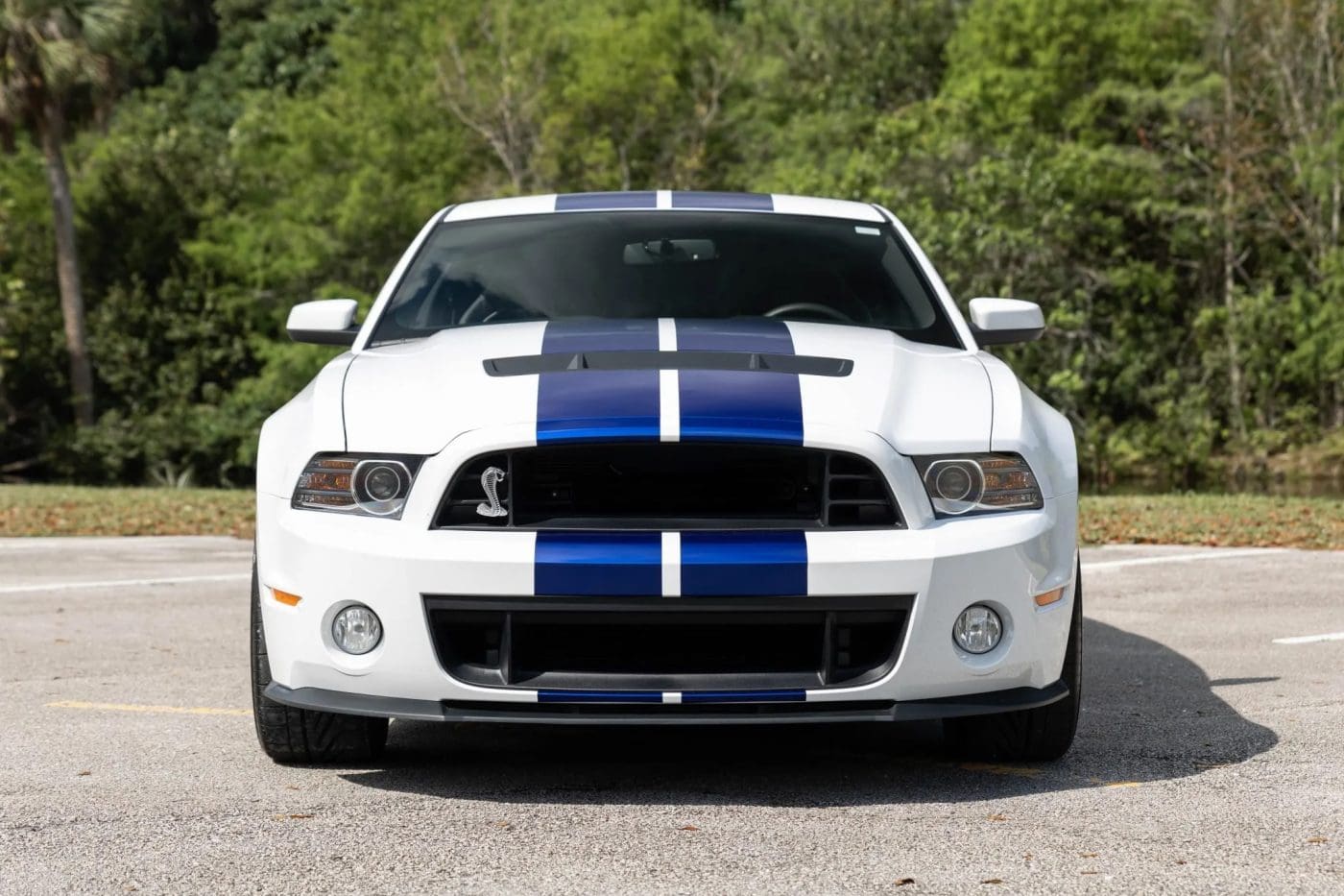 Mustang Of The Day: 2014 Ford Mustang Shelby GT500 - Mustang Specs