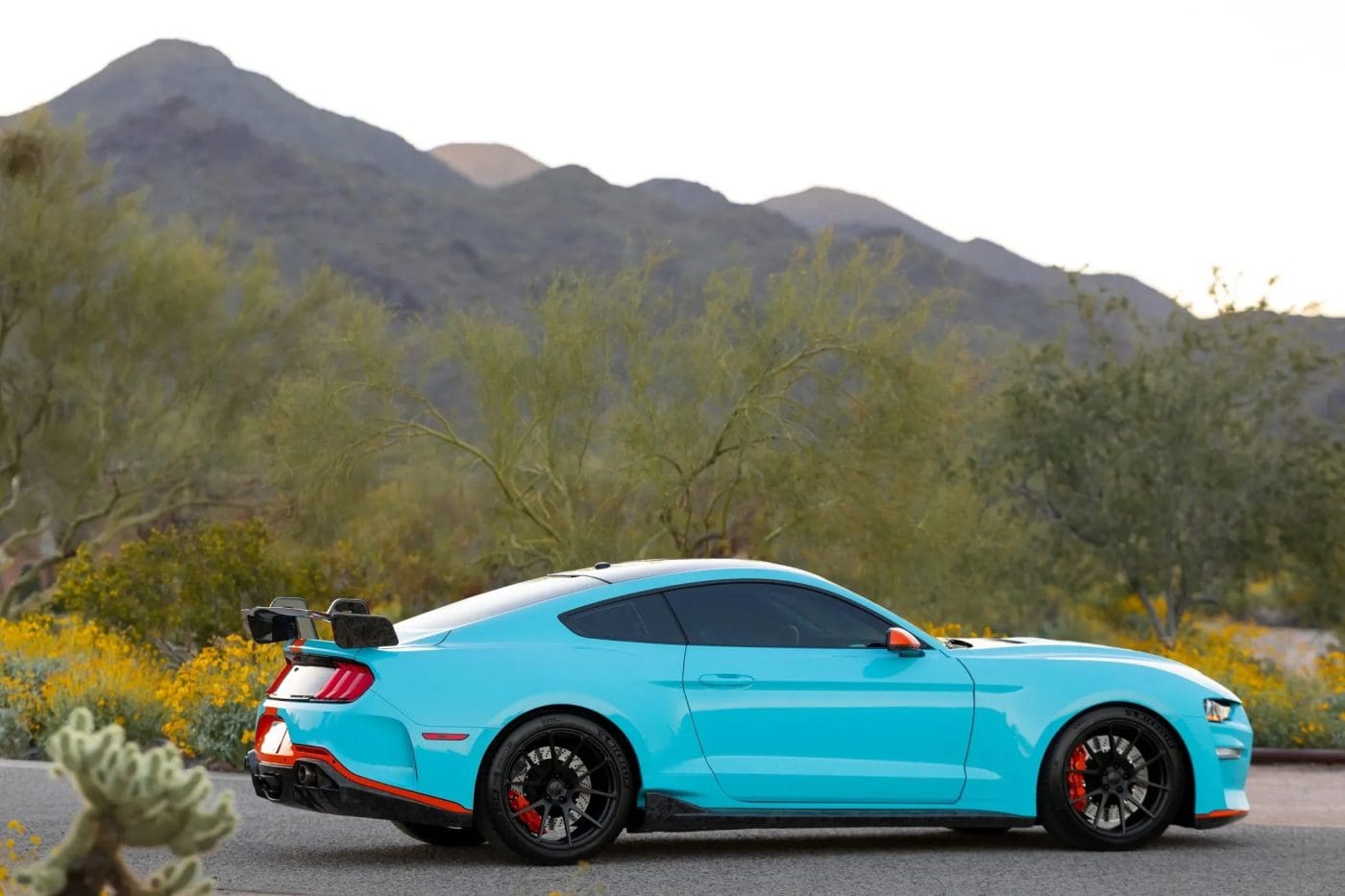 FOR SALE: 2019 Ford Mustang Revenge GT Coupe - Mustang Specs