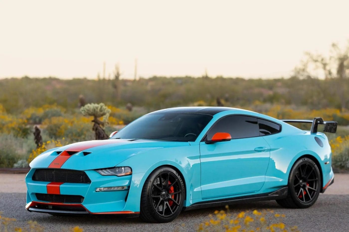 FOR SALE: 2019 Ford Mustang Revenge GT Coupe - Mustang Specs