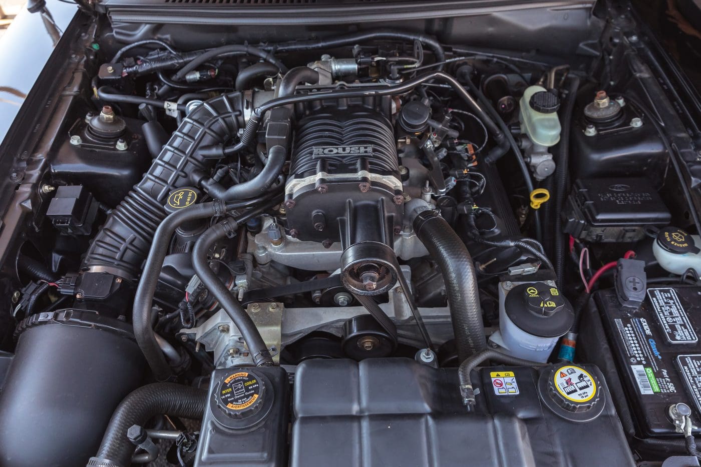 Mustang Of The Day: 2004 Ford Mustang Roush 380R Stage 3 - Mustang Specs