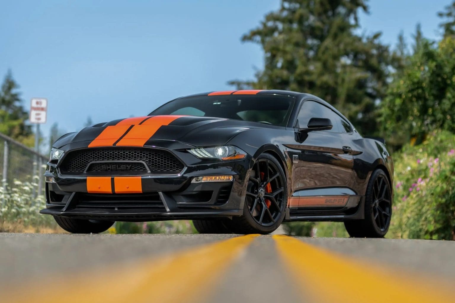 Mustang Of The Day: 2019 Shelby Mustang GT-S - Mustang Specs
