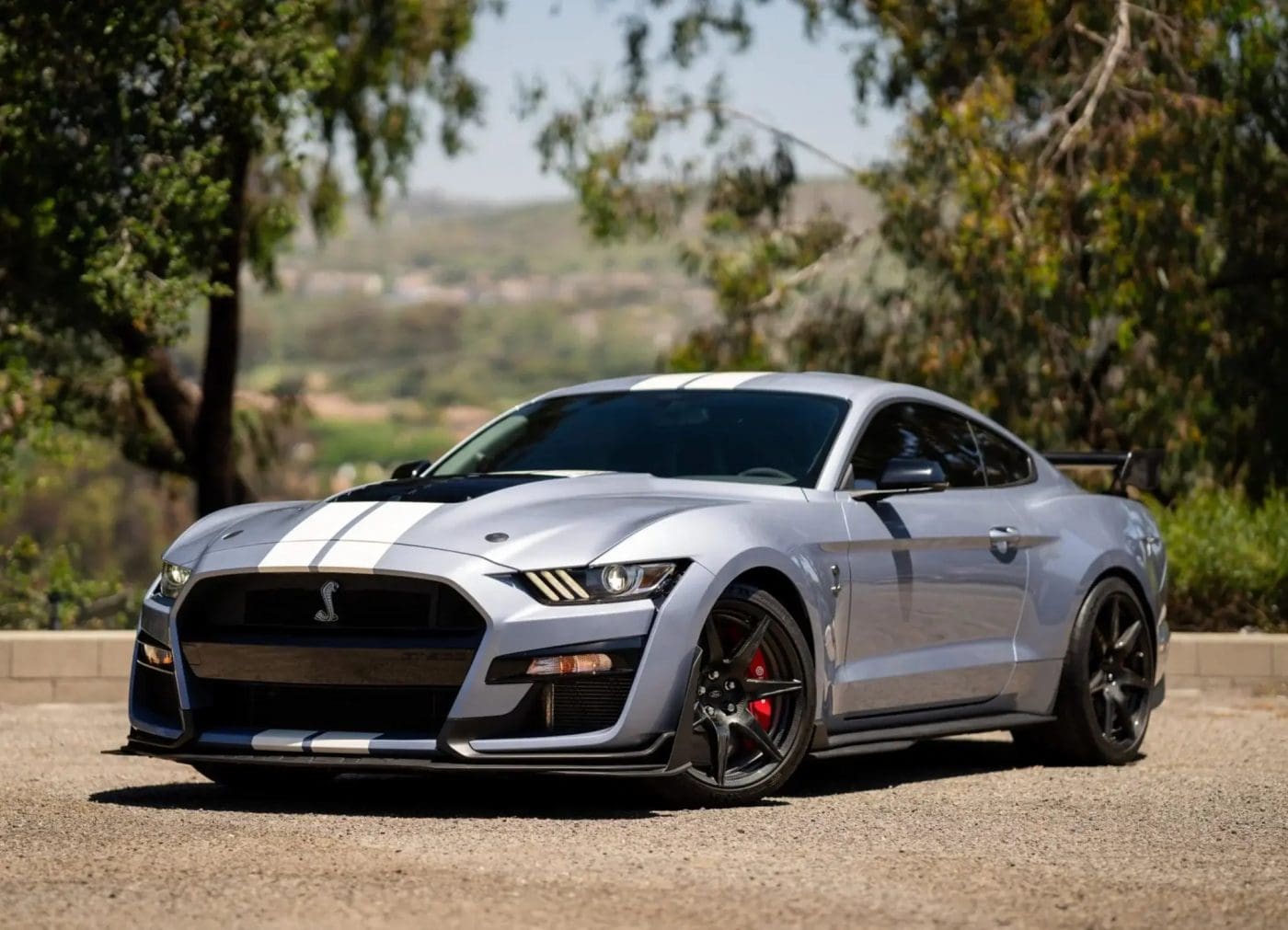 FOR SALE: 2022 Ford Mustang Shelby GT500 Heritage Edition Carbon Fiber ...