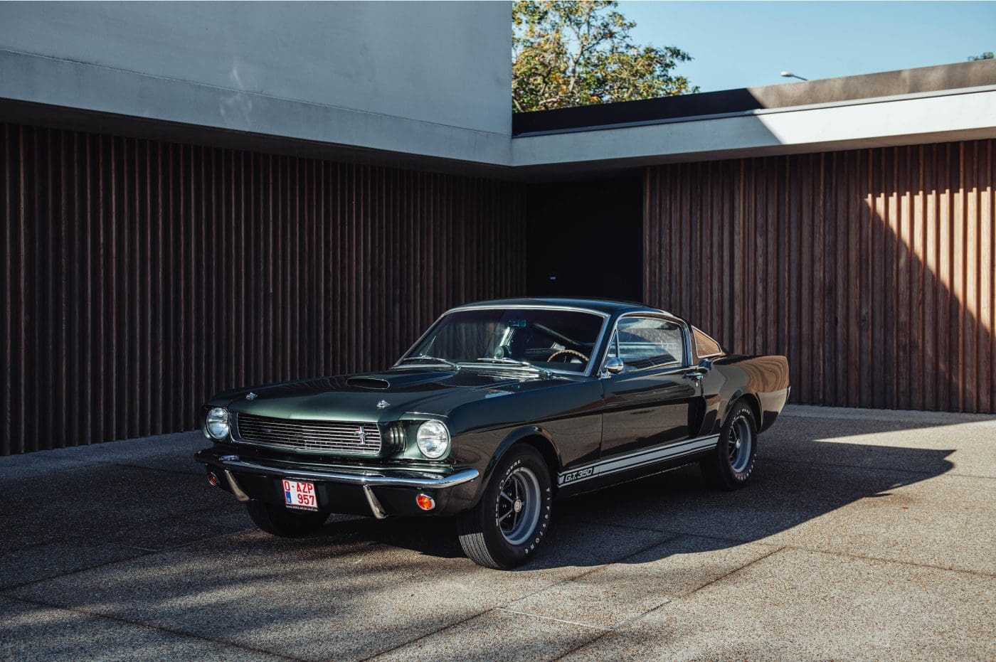 Meticulously Restored 1966 Shelby GT350 Up For Auction - Mustang Specs
