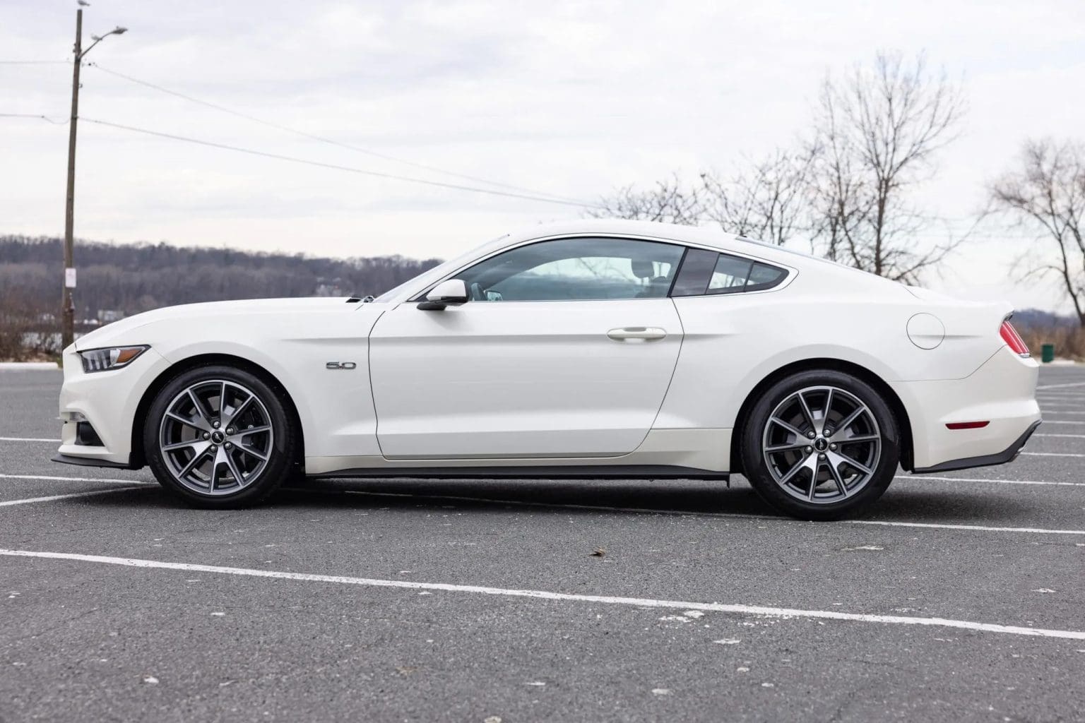 Mustang Of The Day: 2015 Ford Mustang GT 50 Years Limited Edition ...