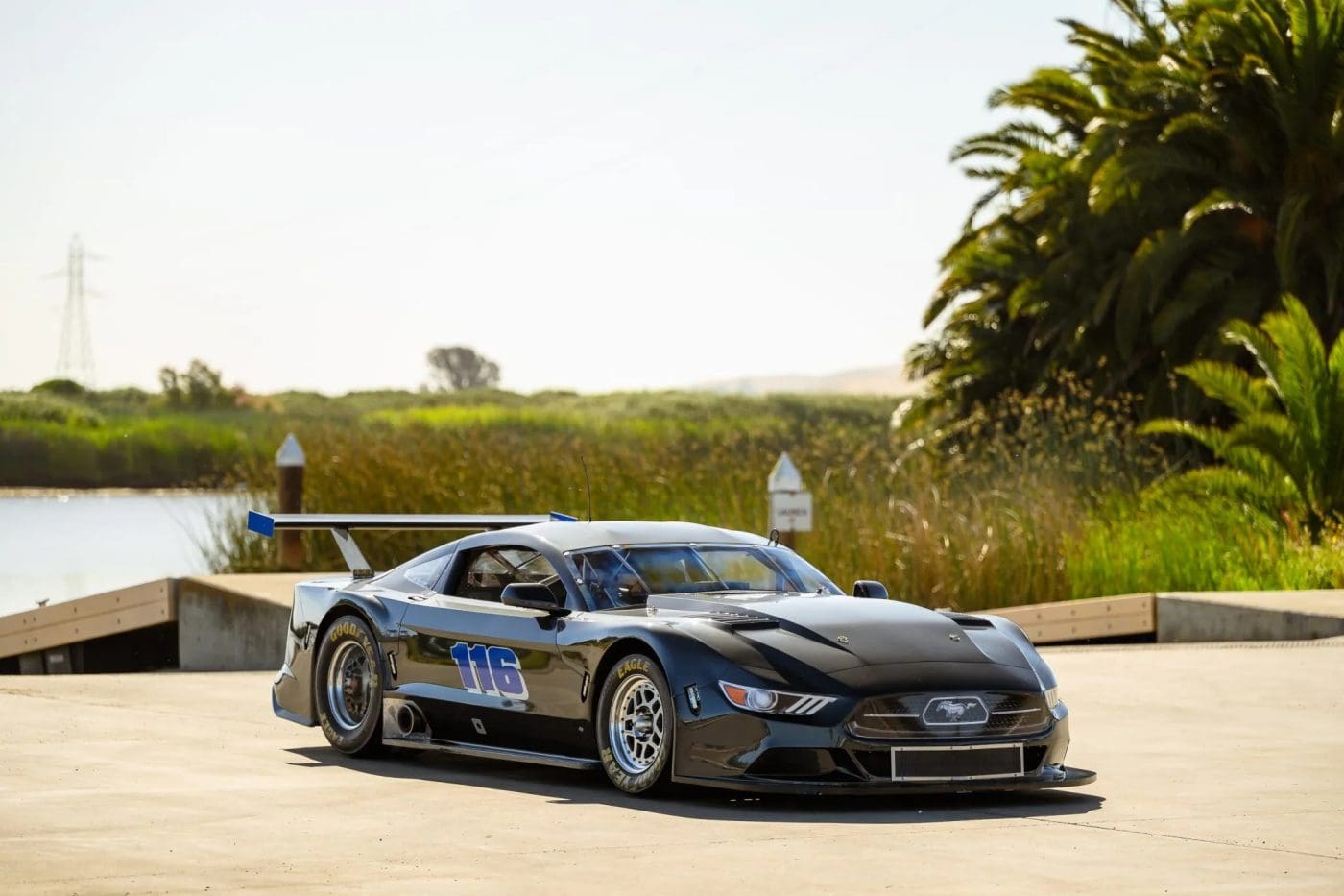 Mustang Of The Day: 2018 Ford Mustang Trans Am Race Car - Mustang Specs
