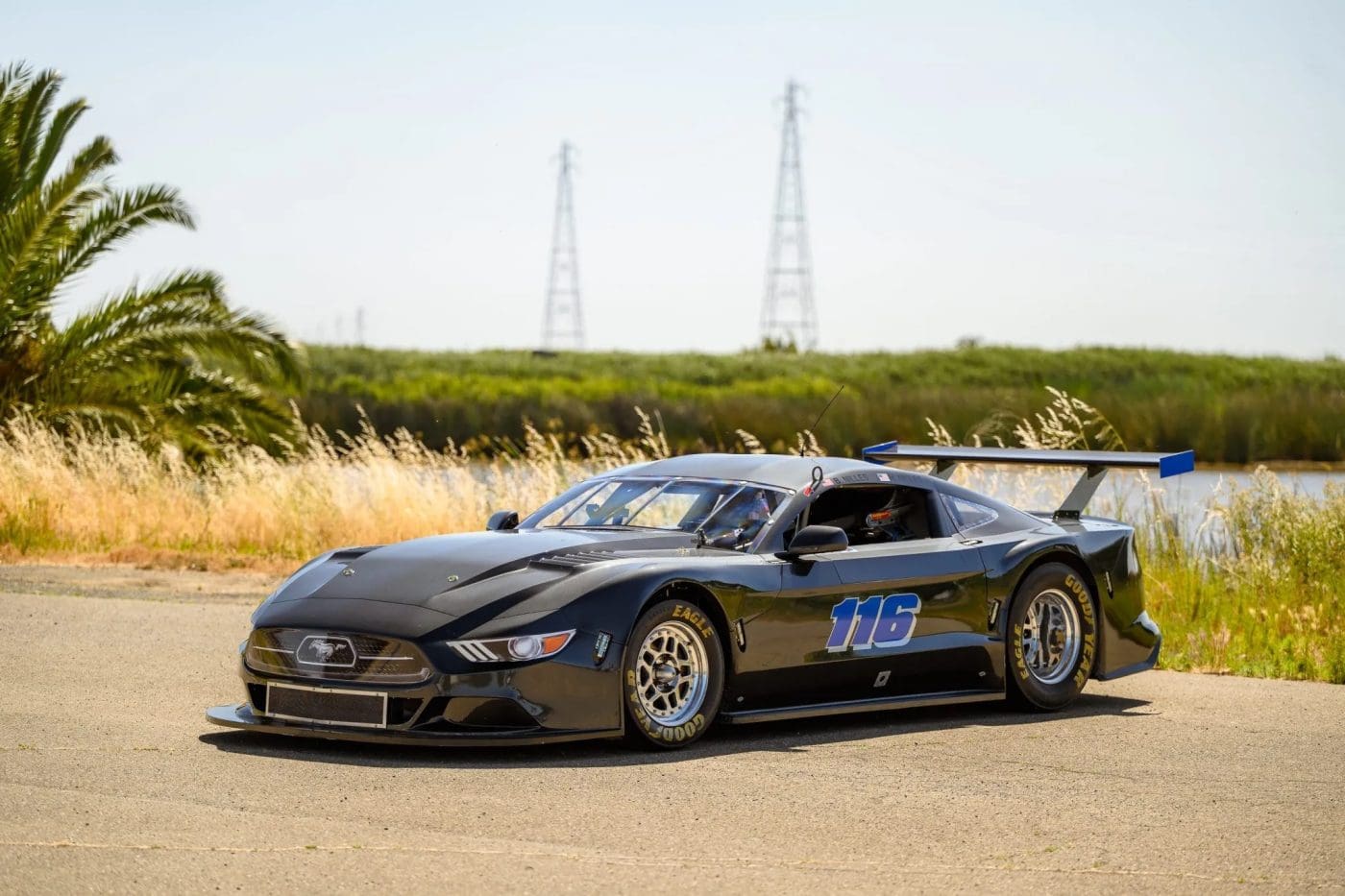 Mustang Of The Day: 2018 Ford Mustang Trans Am Race Car - Mustang Specs