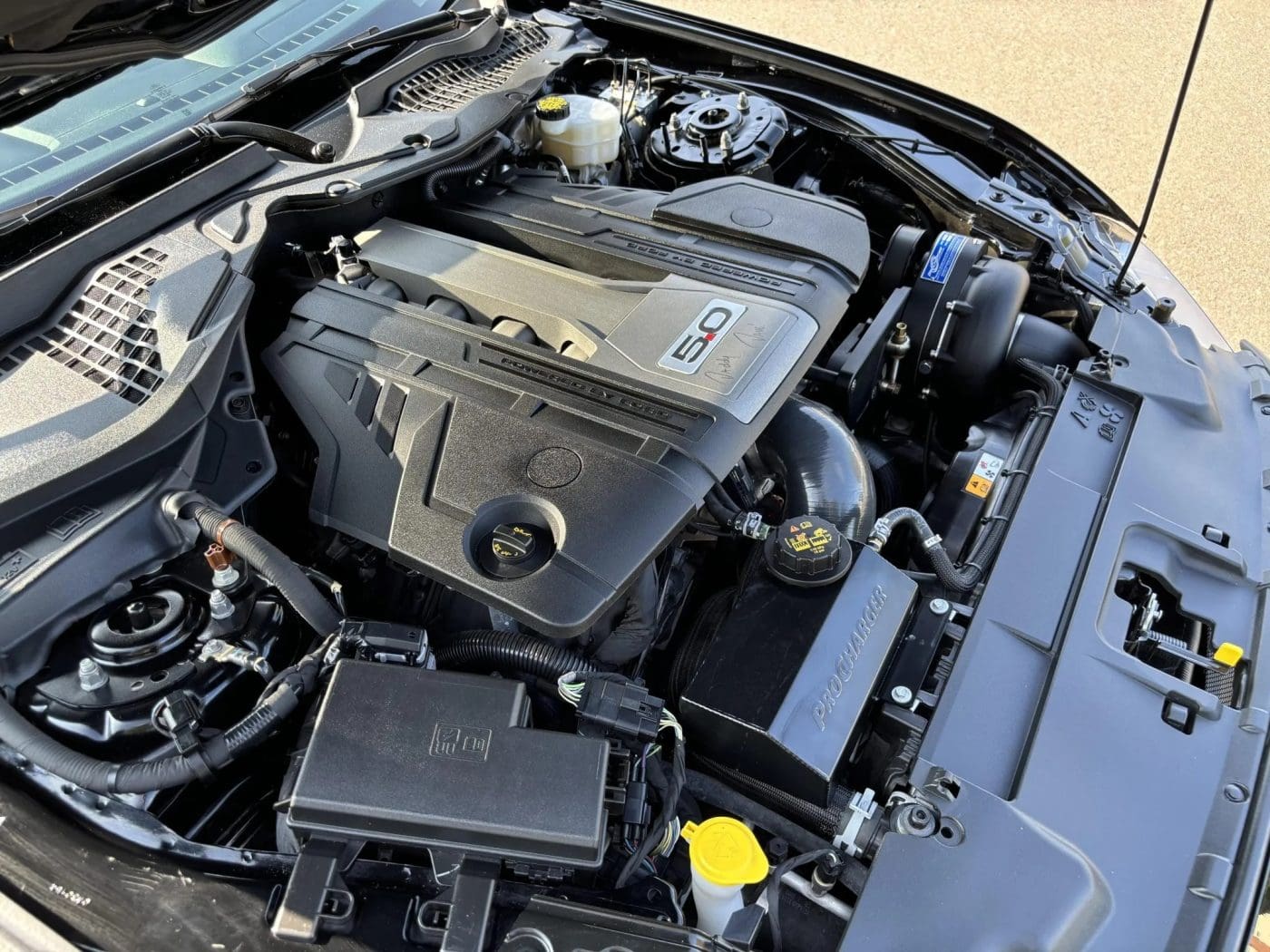 Mustang Of The Day: 2018 Ford Mustang GT Premium DDR Goliath Edition ...