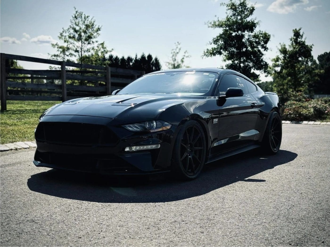 Mustang Of The Day: 2018 Ford Mustang GT Premium DDR Goliath Edition ...