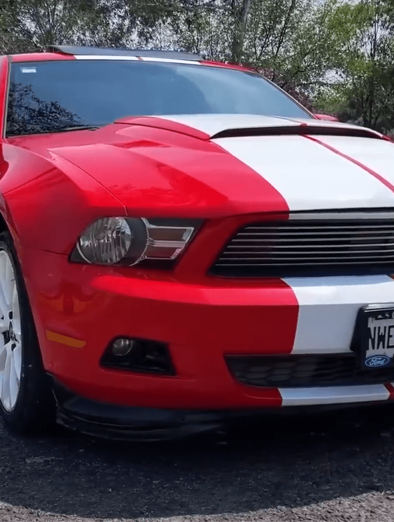 Mustang Variants South of the Border That Americans Missed On
