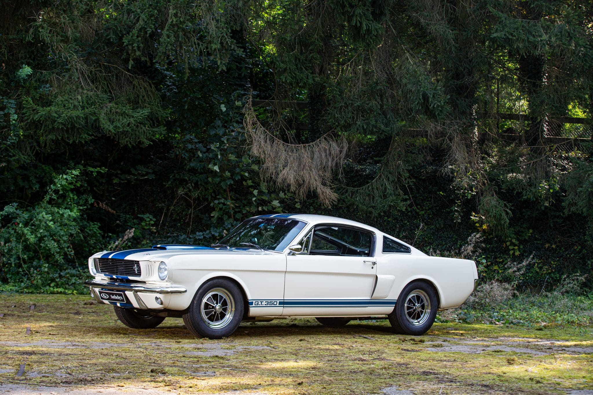 1966 Shelby GT350 Legend Hits the Auction Block - Mustang Specs