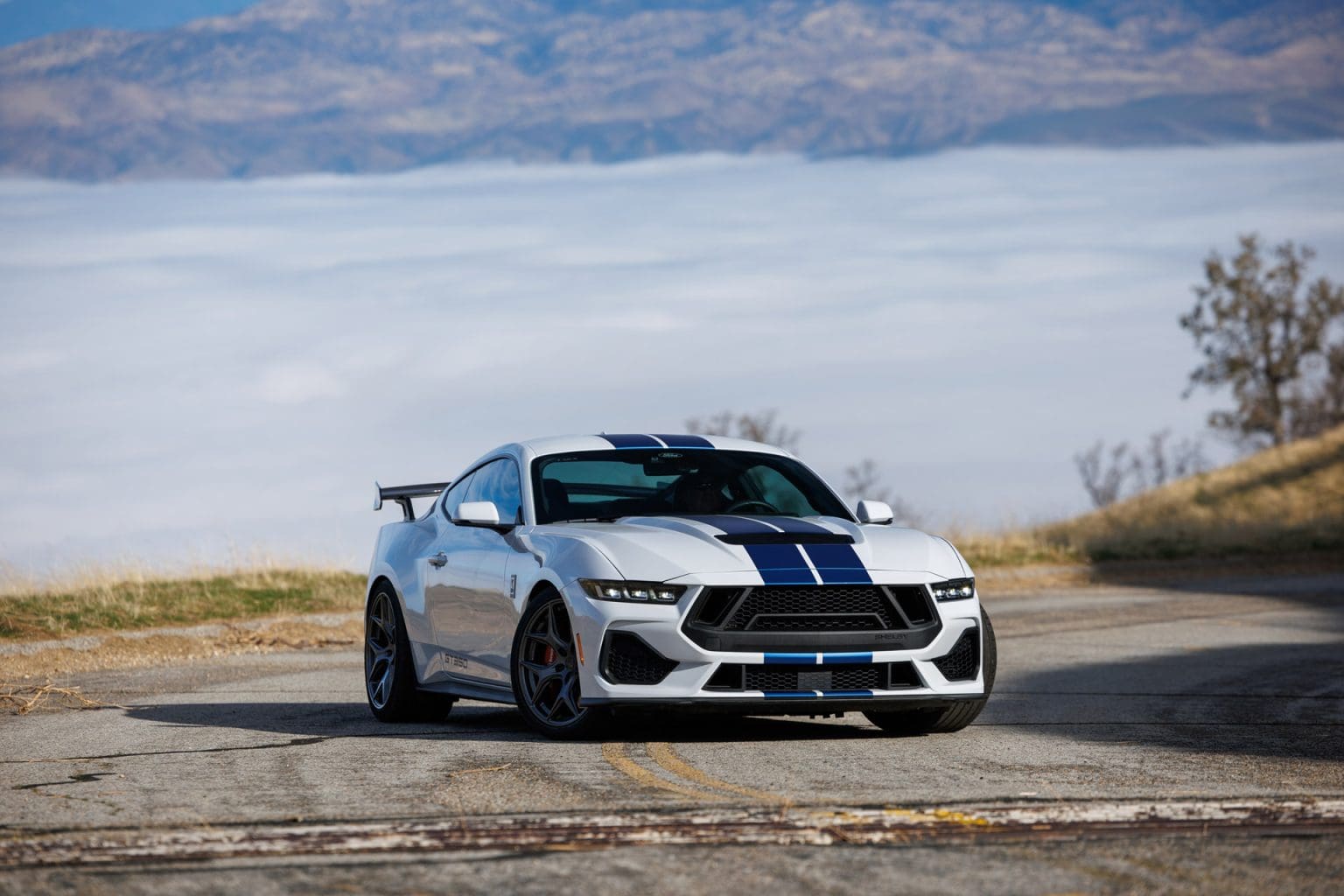 Must Watch Ford Mustang Videos